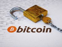 Seed Savior - cryptoxploits