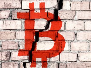 Seed Savior - cryptoxploits